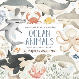 Animal Clipart, MEGA Bundle, Watercolour, Commercial Use, Clipart ...