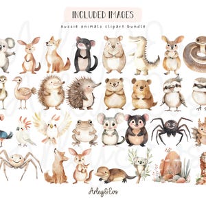 Australian Animals Clipart Bundle, Watercolour Animals, Commercial Use ...