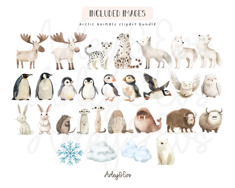 Watercolor Arctic Animals Clipart Bundle: Nursery Illustration (PNG) - Etsy