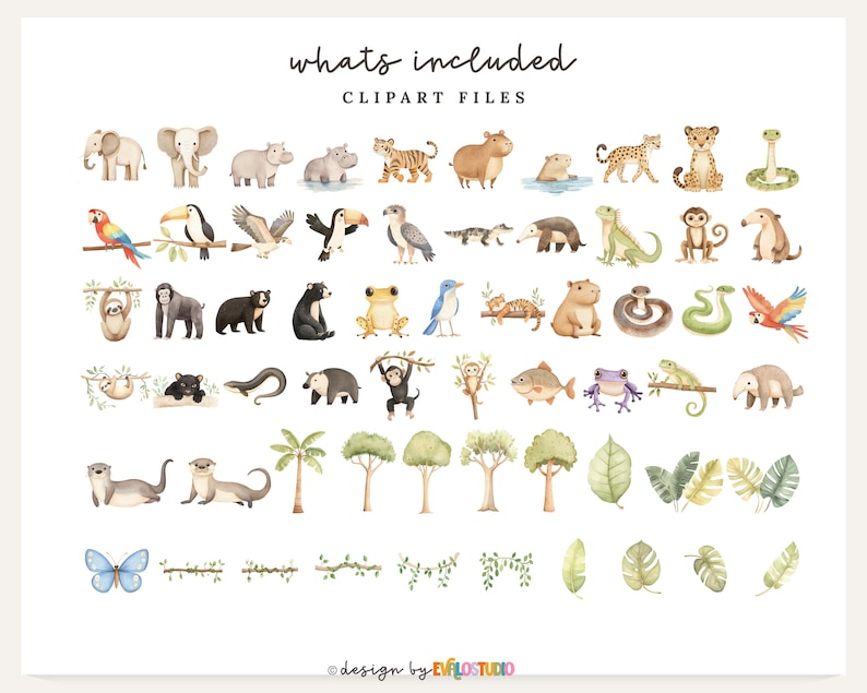 Watercolor Rainforest Animal Clipart: Jungle Safari PNG (commercial ...