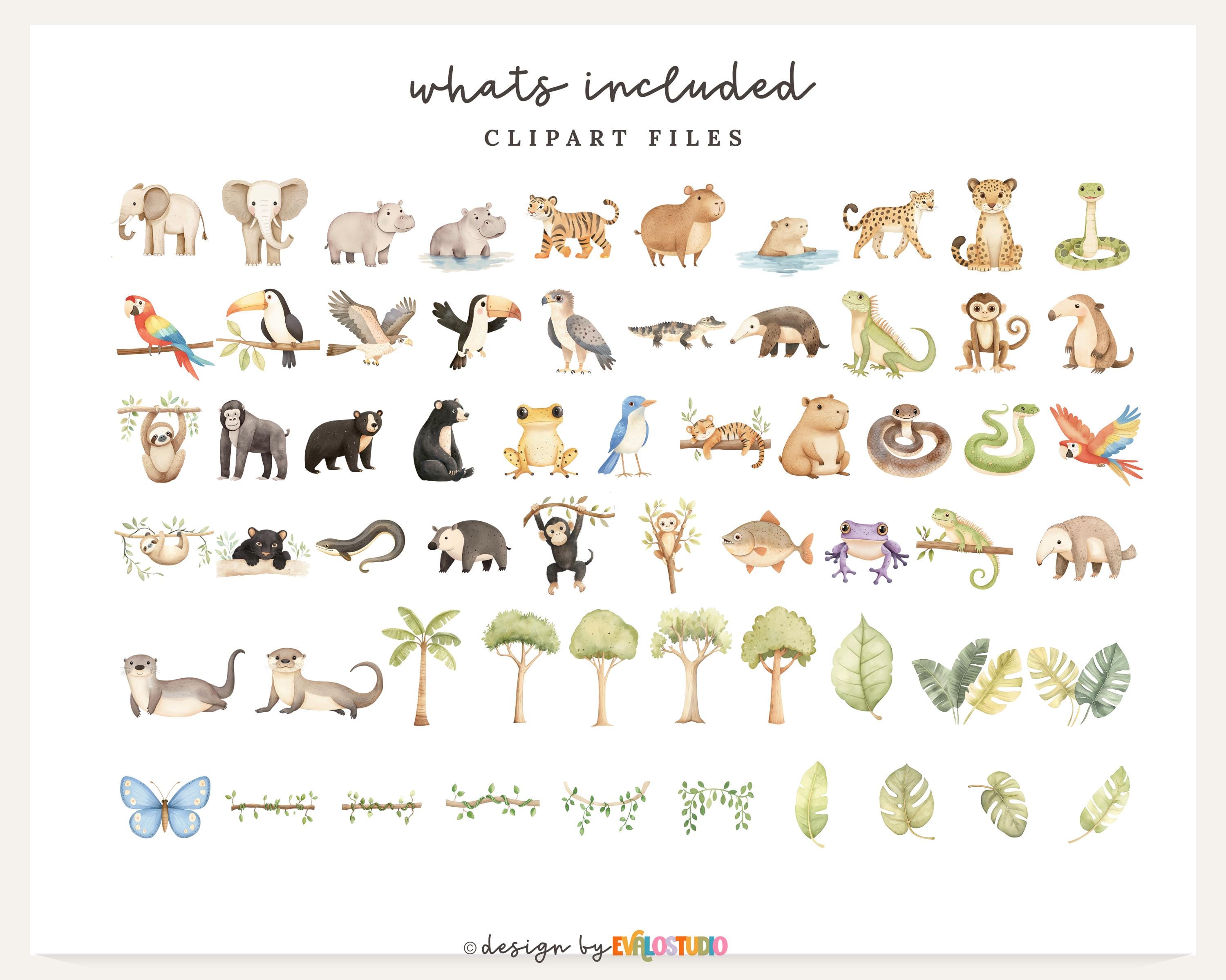 Watercolor Rainforest Animal Clipart: Jungle Safari PNG (commercial ...