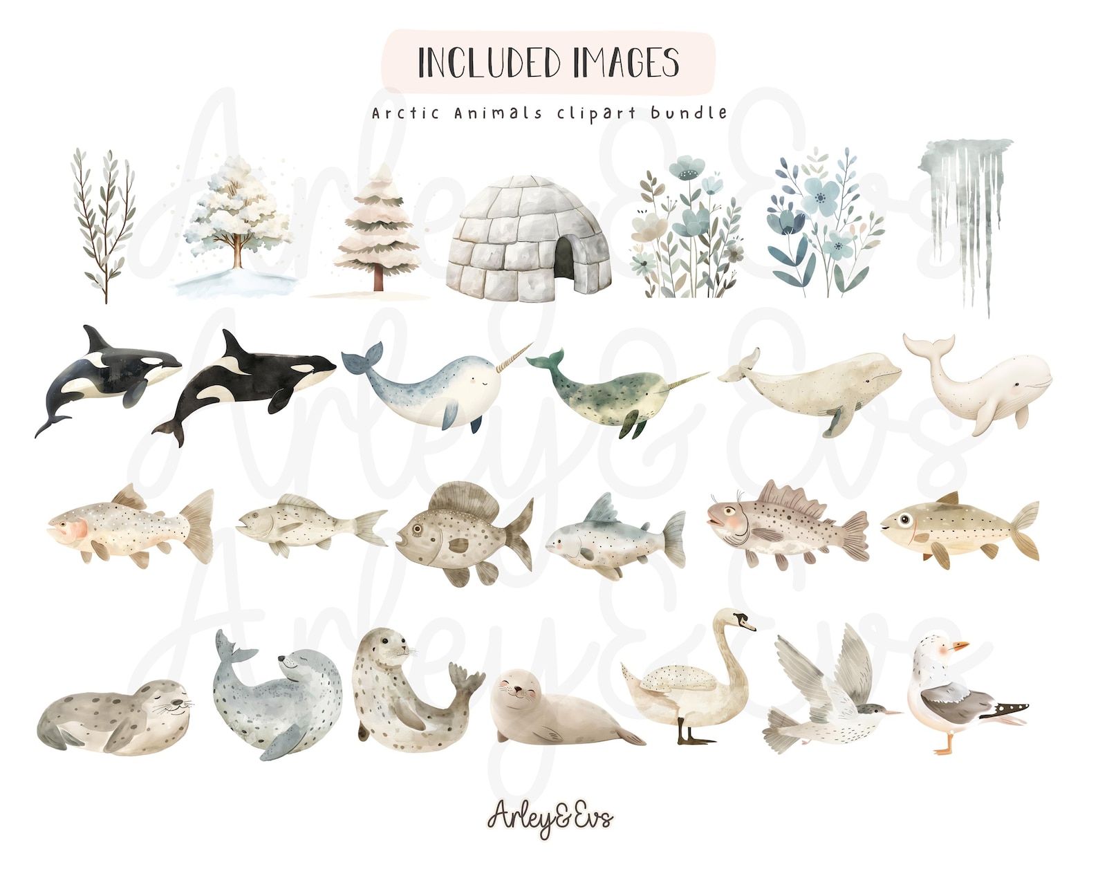 Watercolor Arctic Animals Clipart Bundle: Nursery Illustration (PNG) - Etsy