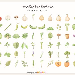 Watercolor Fruits & Vegetables Clipart Bundle: Garden Produce ...