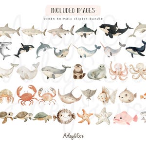Sea Life Clipart Bundle, Watercolour Under the Sea Clipart, Commercial ...