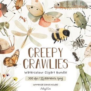 World of Bugs. Watercolor Clipart, Forest, Insect, Wild, Beetle ...