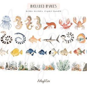 Sea Life Clipart Bundle, Watercolour Under the Sea Clipart, Commercial ...