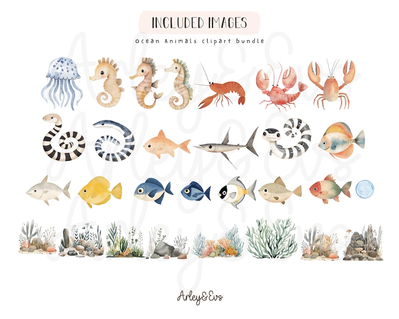 Watercolor Sea Life Clipart Bundle: Ocean Animals (digital Download) - Etsy