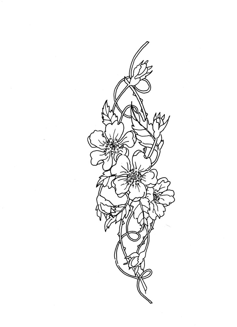 Old Country Roses. Flowers Are One of My Favorite Things to Draw ...