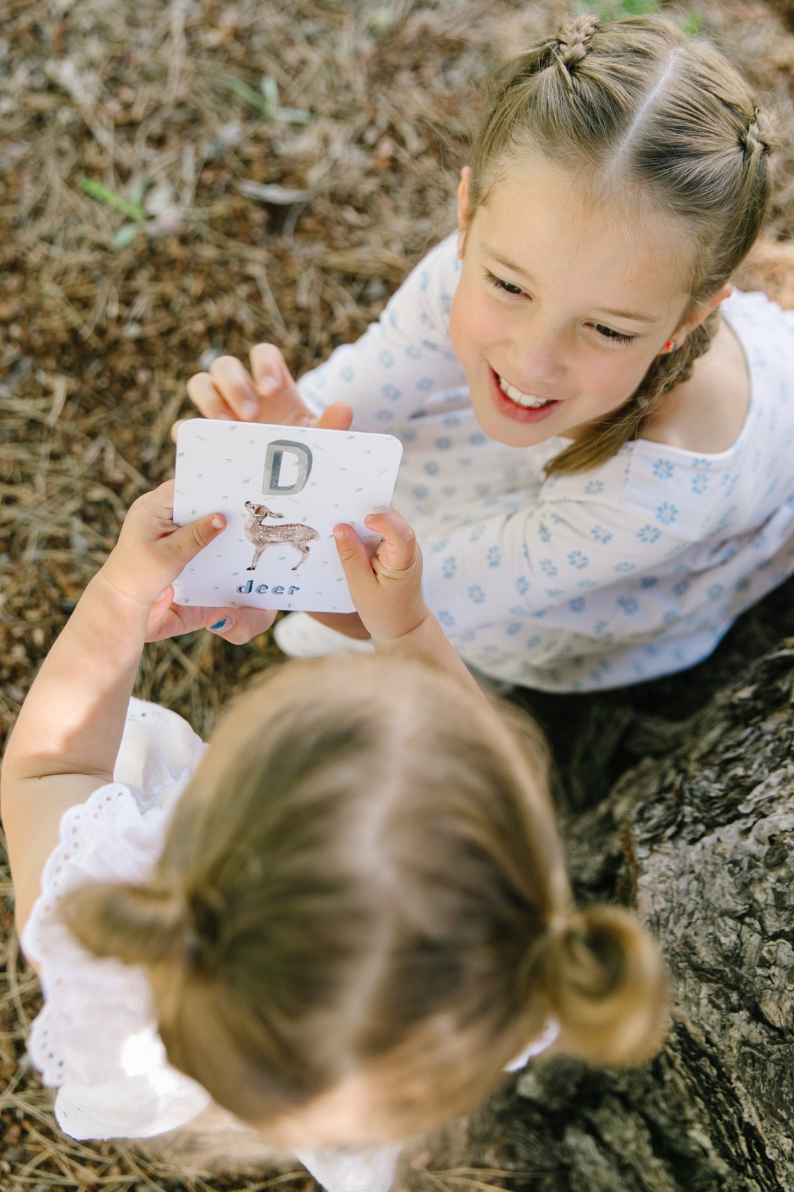 ABC Camping Flash Cards for Kids Nature Themed Alphabet - Etsy Canada