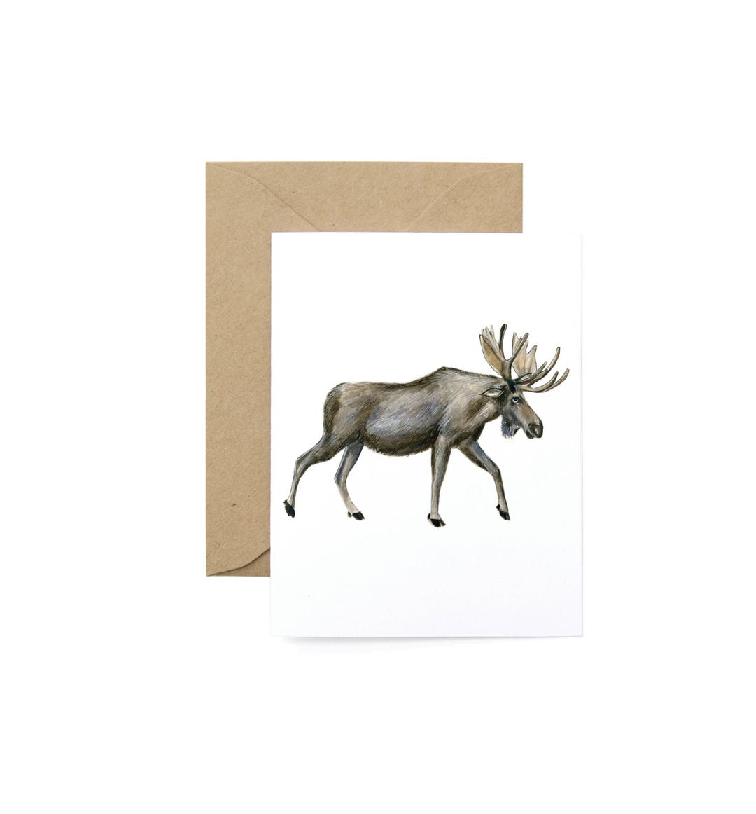Rustic Moose Thank You Card Illustrated Mountain Animal - Etsy
