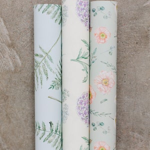 Fresh Spring Poppy Flower Gift Wrap - Illustrated Botanic, Everyday ...