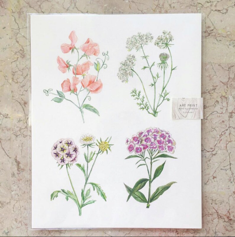 Spring Blooms Floral Illustration Art Print Illustrated | Etsy