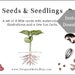 Seeds and Seedlings - Cards - Digital - Printable PDF, Montessori ...