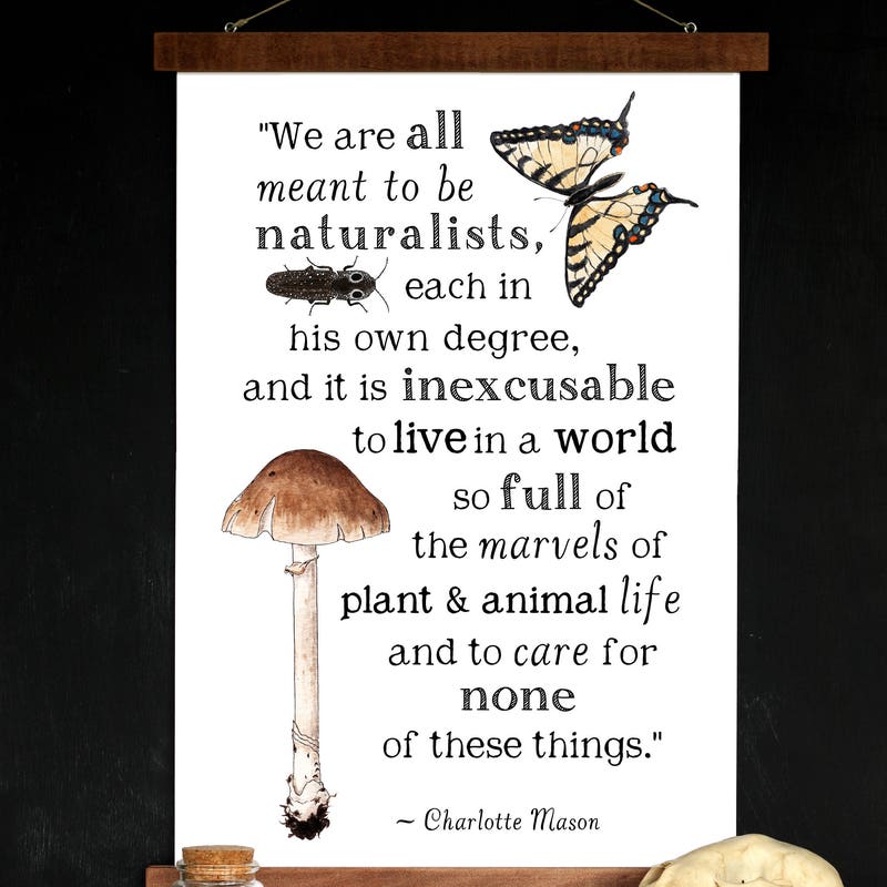 Charlotte Mason - Etsy