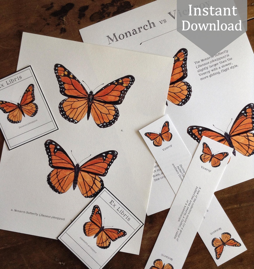Monarch, Viceroy Butterfly Printable Art With Bookmarks and Bookplates ...