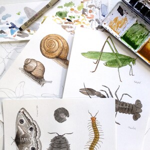 Minibeast Digital Bundle! - Minibeast Digital Print + Learning Cards ...