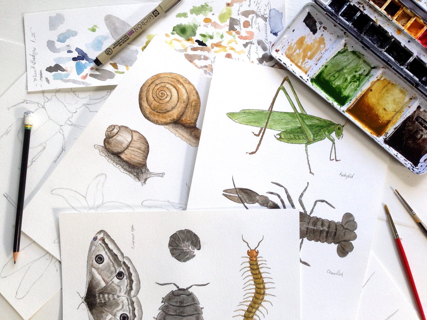 Minibeast Digital Bundle! - Minibeast Digital Print + Learning Cards ...