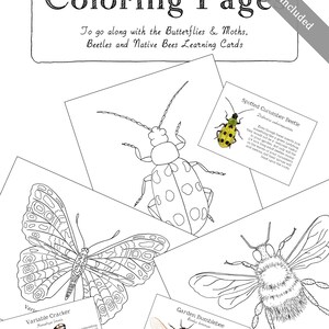 Bundle of Coloring Pages + Learning Cards - Digital, Printable ...