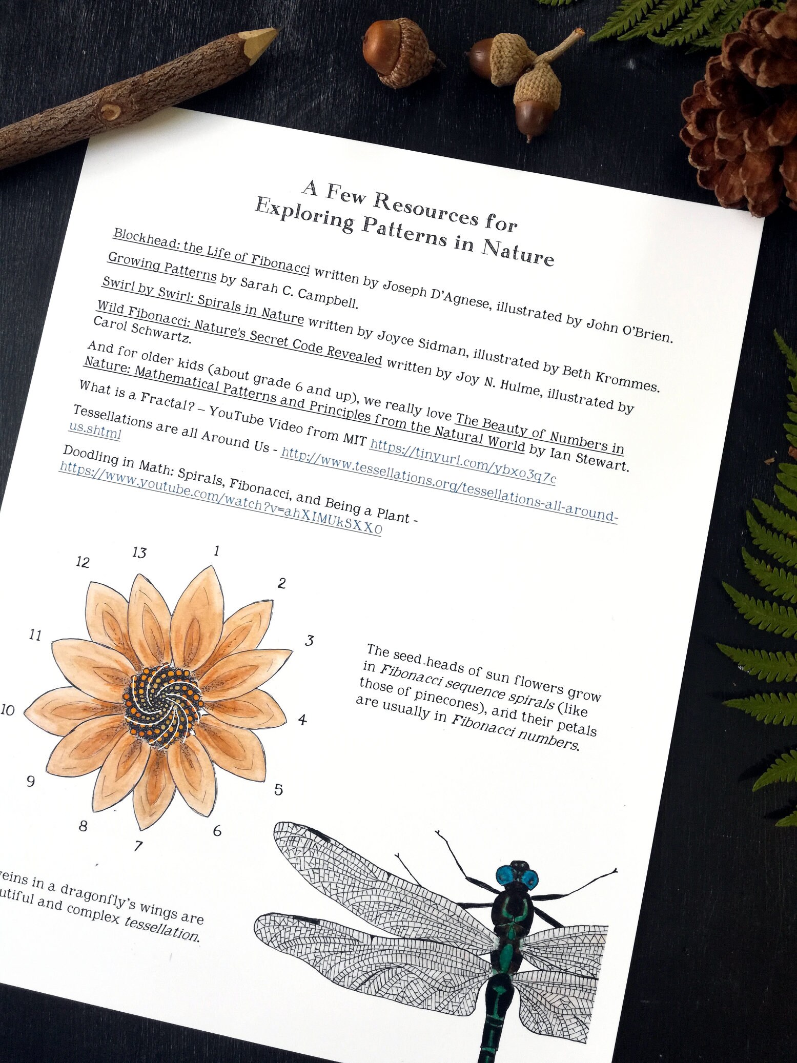 Patterns in Math & Nature School Room Printable - 8.5 X 11 and A4 ...