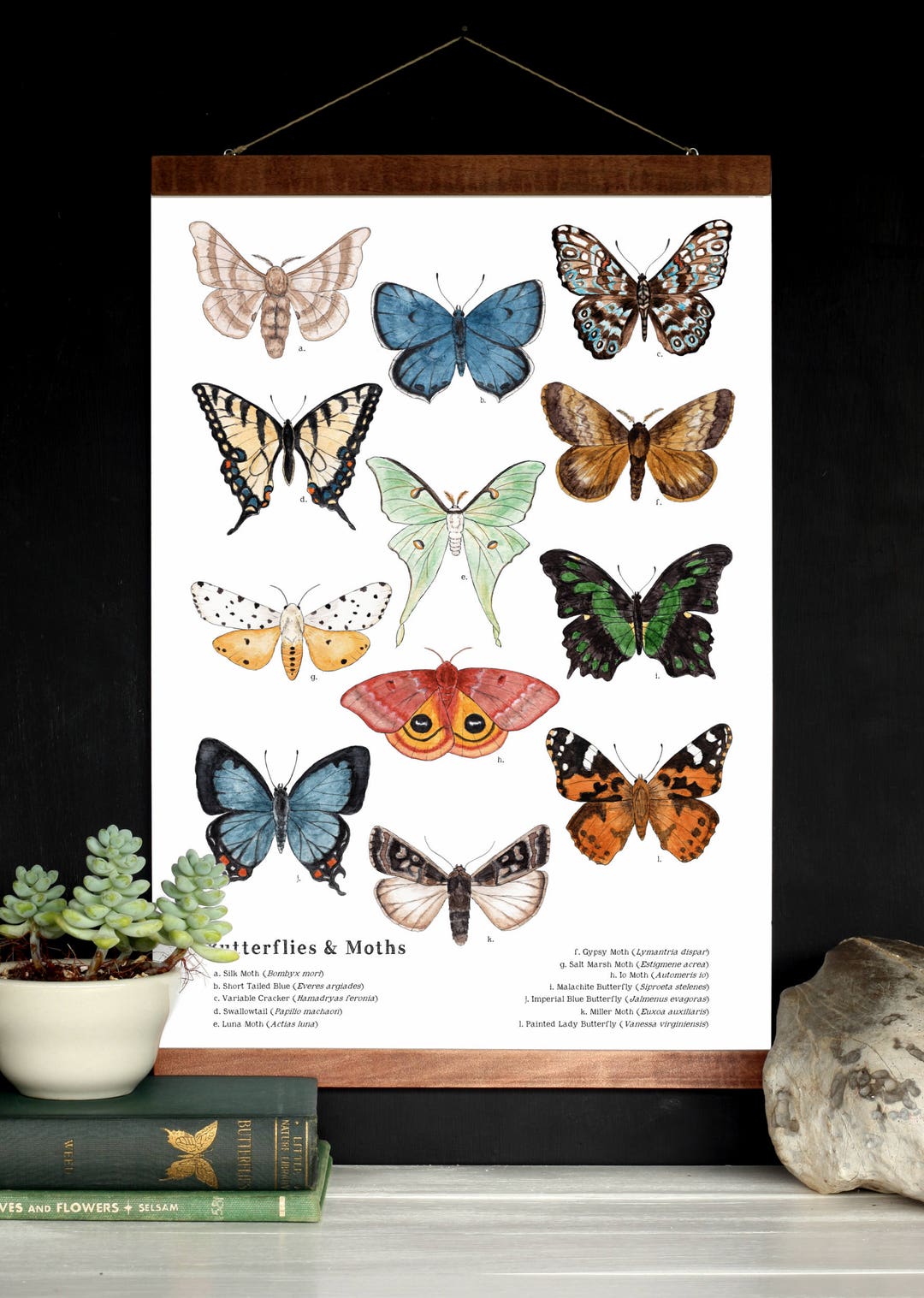 Butterflies and Moths 12 X 18 Poster Entomology, Montessori ...
