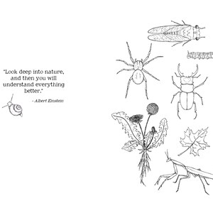 DIGITAL PDF Version - Nature Journal for Kids - 102 Pages - Printable ...