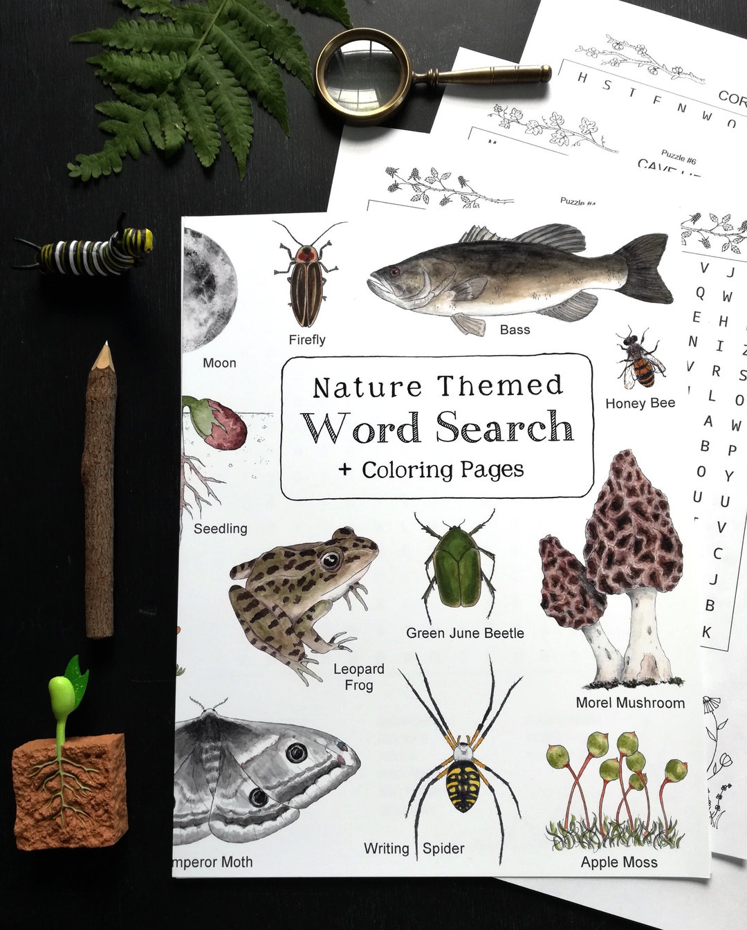 DIGITAL PDF Version - Nature Themed Word Search + Coloring Pages - 8.5 ...