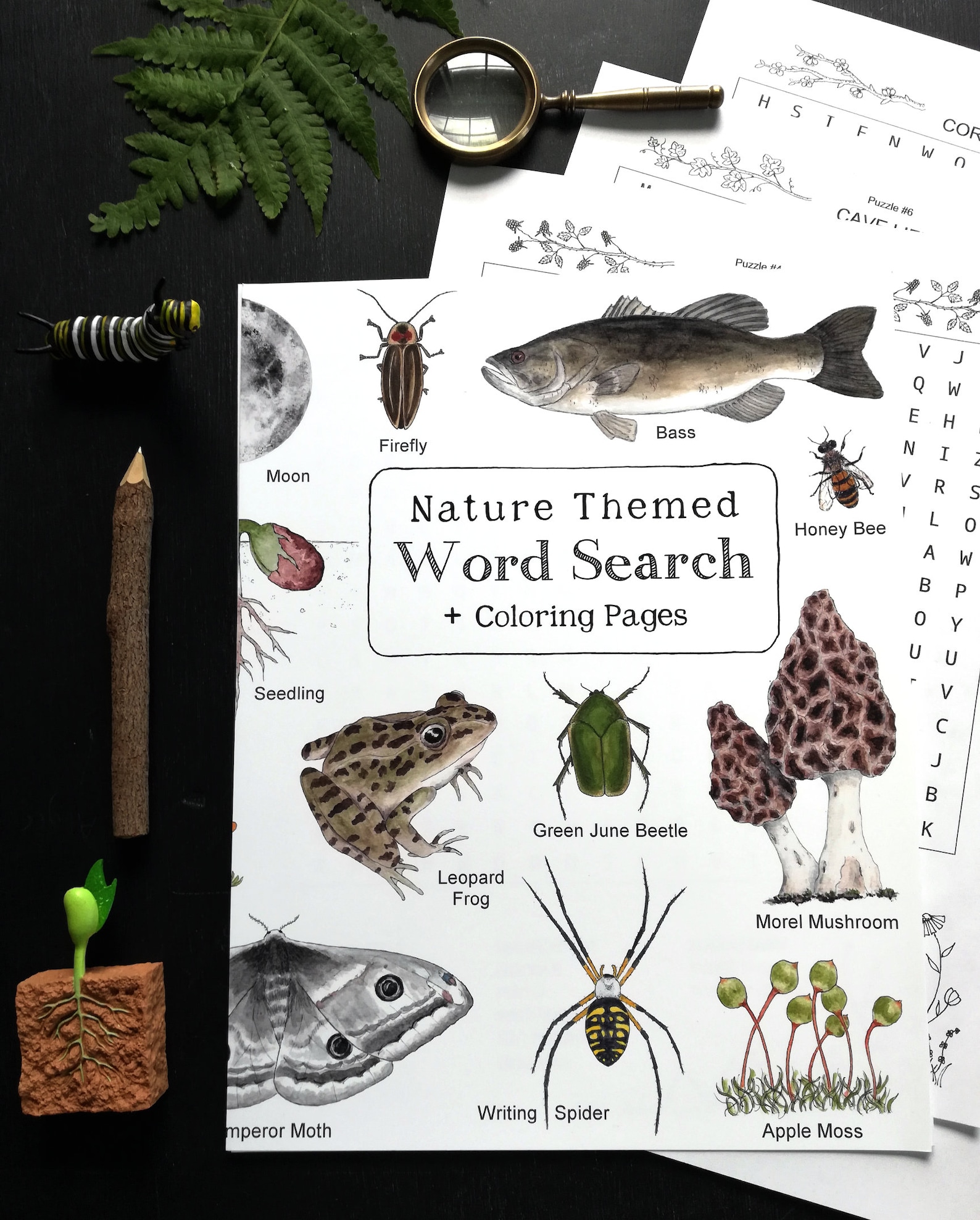 DIGITAL PDF Version Nature Themed Word Search Coloring | Etsy