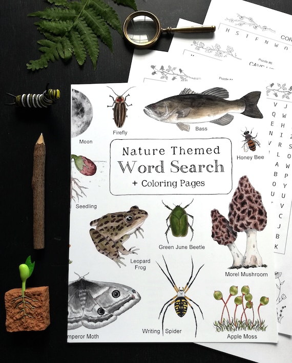 DIGITAL PDF Version Nature Themed Word Search Coloring | Etsy