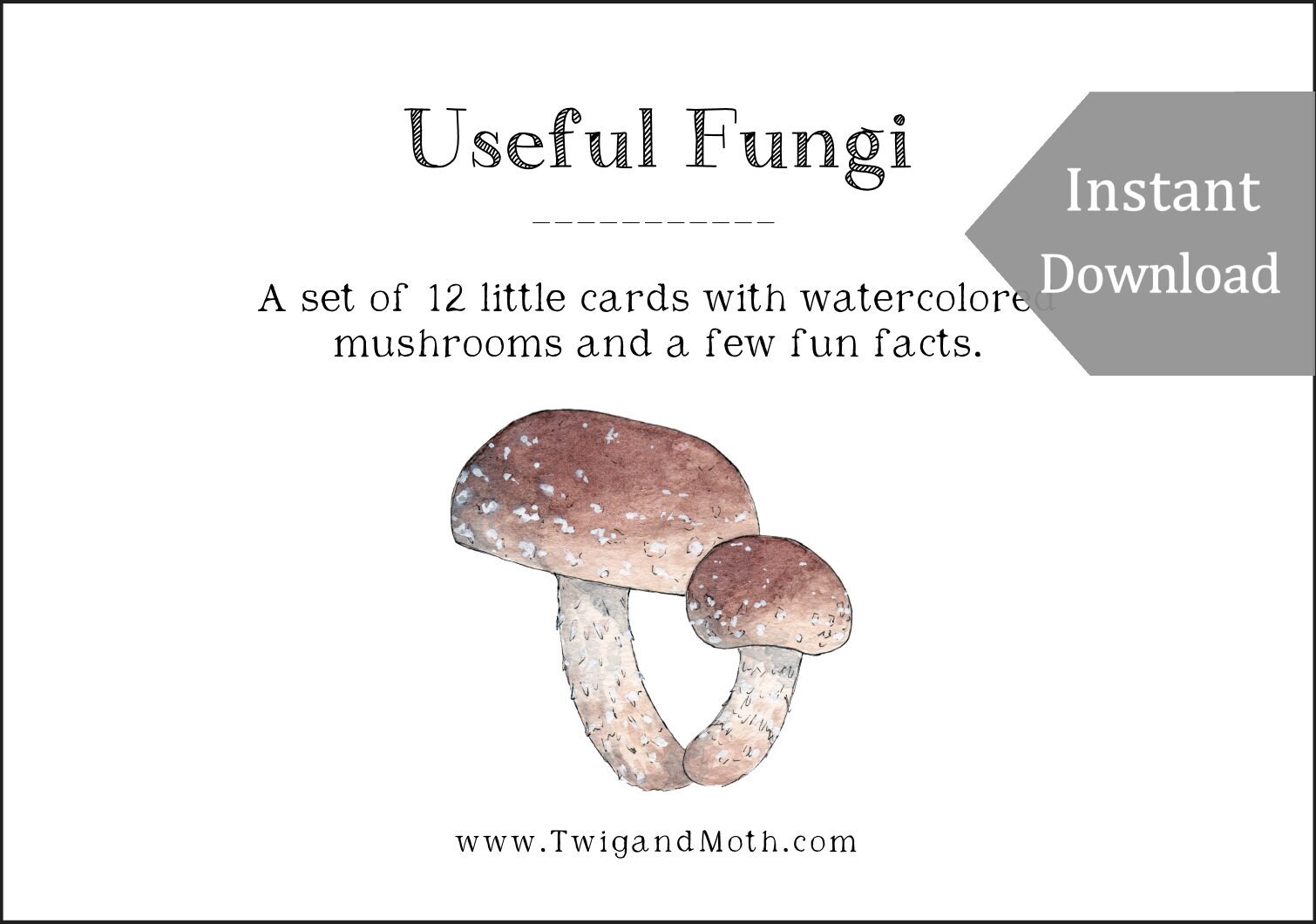 Useful Fungi Digital Bundle Digital Print Learning Cards - Etsy Australia