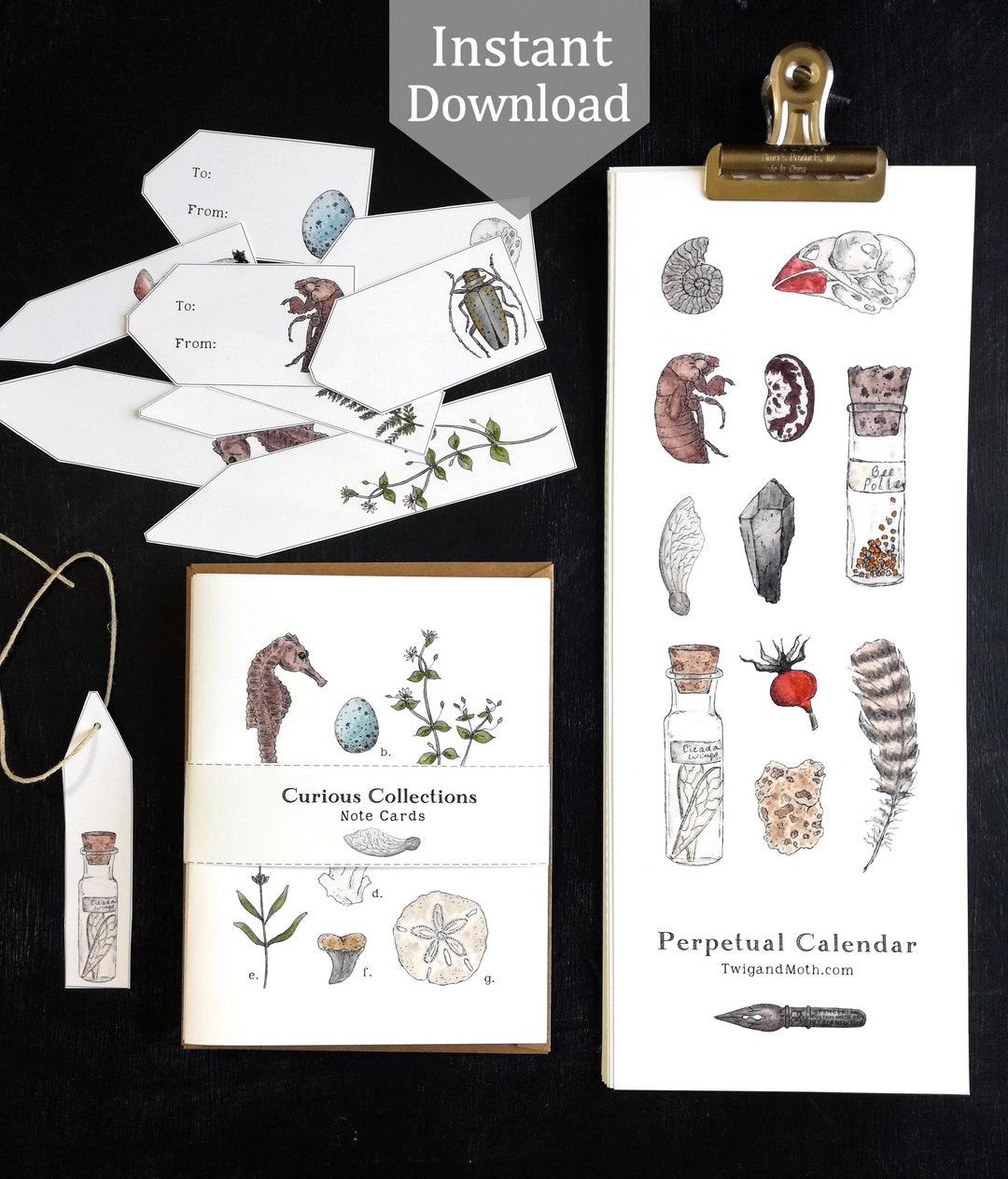 Curious Collections - Printable Perpetual Calendar / Birthday Calendar ...