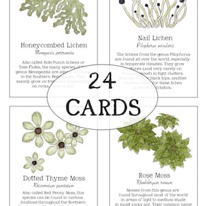 Lichens & Mosses Digital Bundle - Digital Print + Learning Cards ...