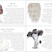 Useful Fungi Digital Bundle - Digital Print + Learning Cards ...
