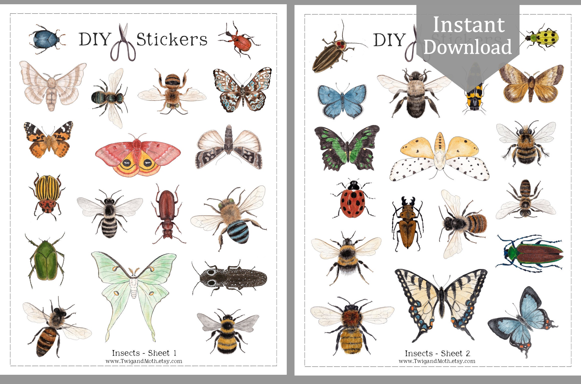 Printable Insect Stickers 36 Digital DIY Stickers | Etsy