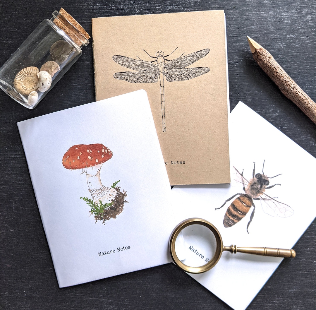 3 Pocket Nature Notebook Covers + 6 Bookmarks - Digital, Printable PDF ...