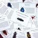 Beetles - an Assortment of Beetles Learning Cards - Montessori ...