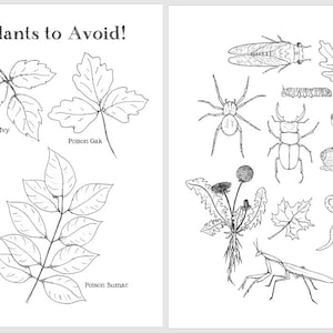 DIGITAL Smaller Sized Kid's Nature Journal - Half-page Size - 104 ...