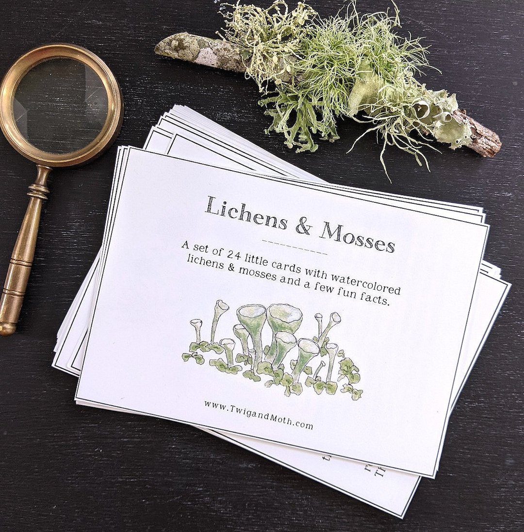 Lichens & Mosses Learning Cards - Montessori, Homeschool, Nature Study ...