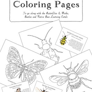 Bundle of Coloring Pages + Learning Cards - Digital, Printable ...