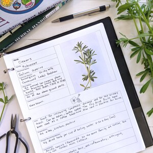 DIGITAL Herbal Materia Medica & Formulary Journal - Full Size - 150 ...