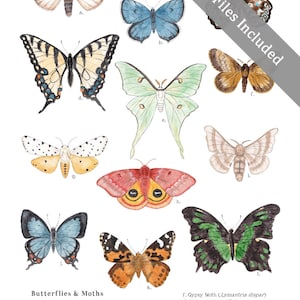 Digital Print Printable Art A4 and 8 X 10 Butterflies and Moths ...