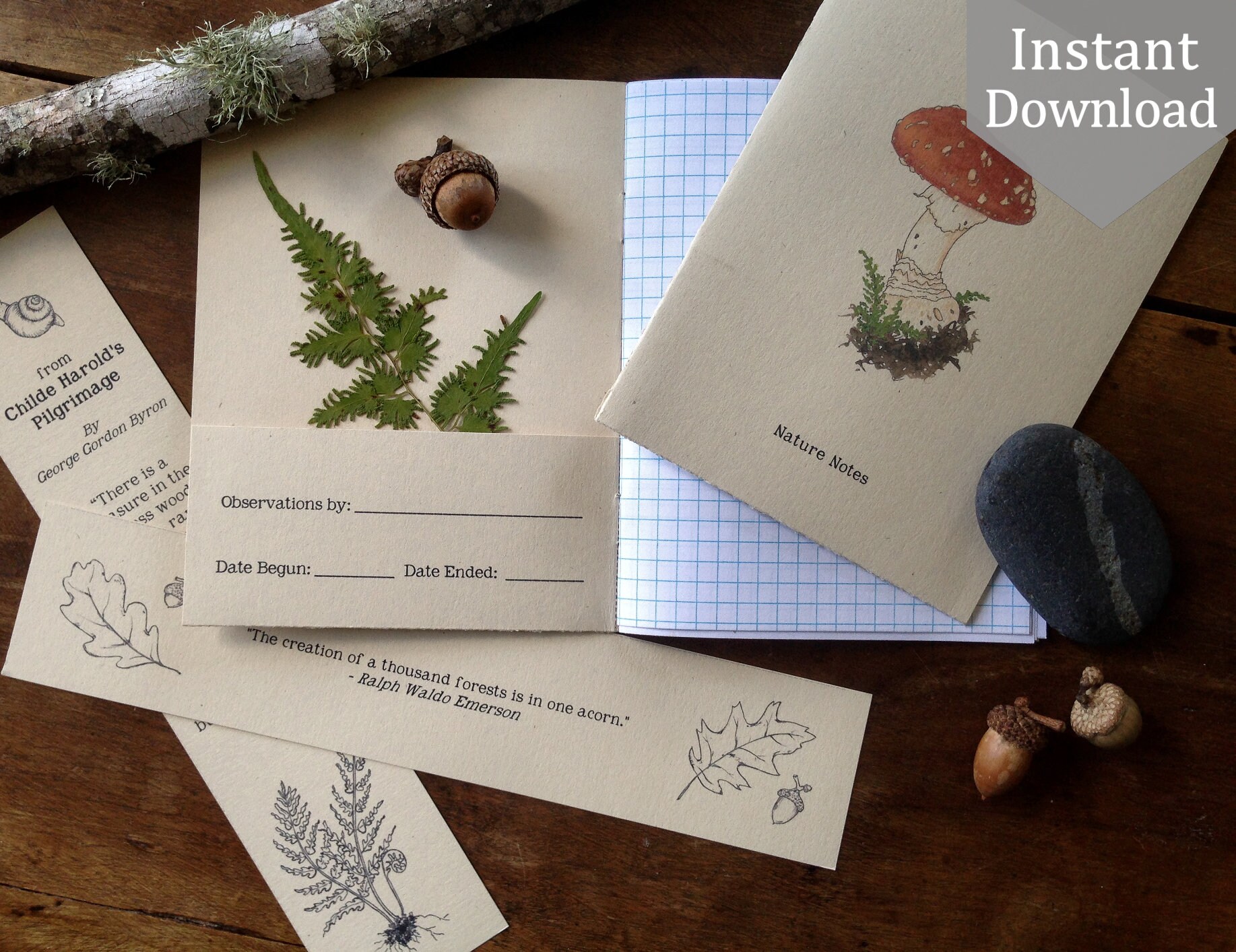 3 Pocket Nature Notebook Covers 6 Bookmarks Digital | Etsy