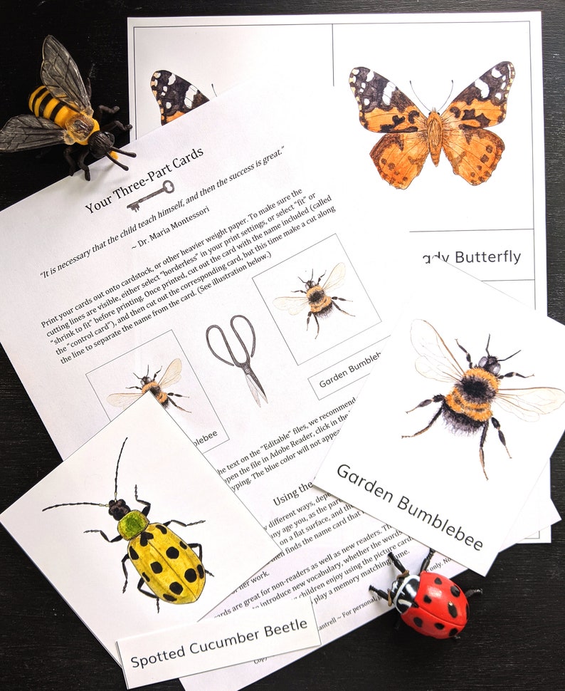 Three Part Cards Bees Butterflies Moths and Beetles | Etsy