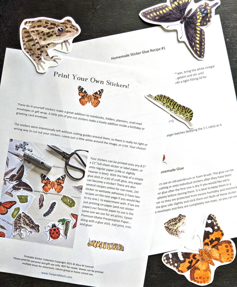 Printable Life Cycle Stickers - 40+ Digital DIY Printable Stickers ...