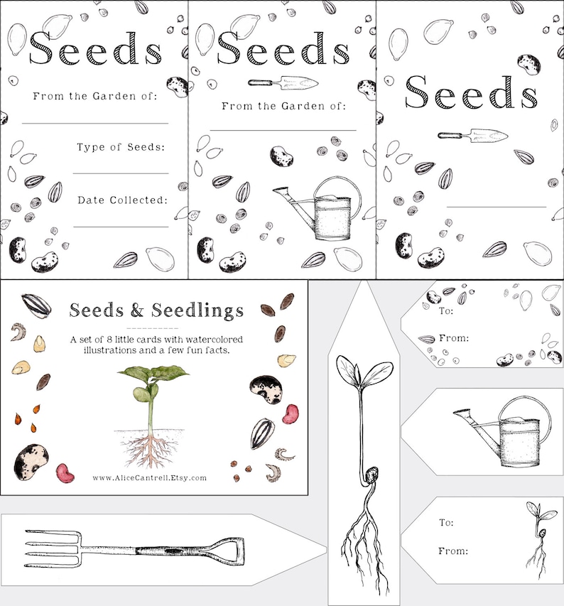 Seed Bundle - Seed Envelopes & Tags + Gardening Notebook Cover With ...