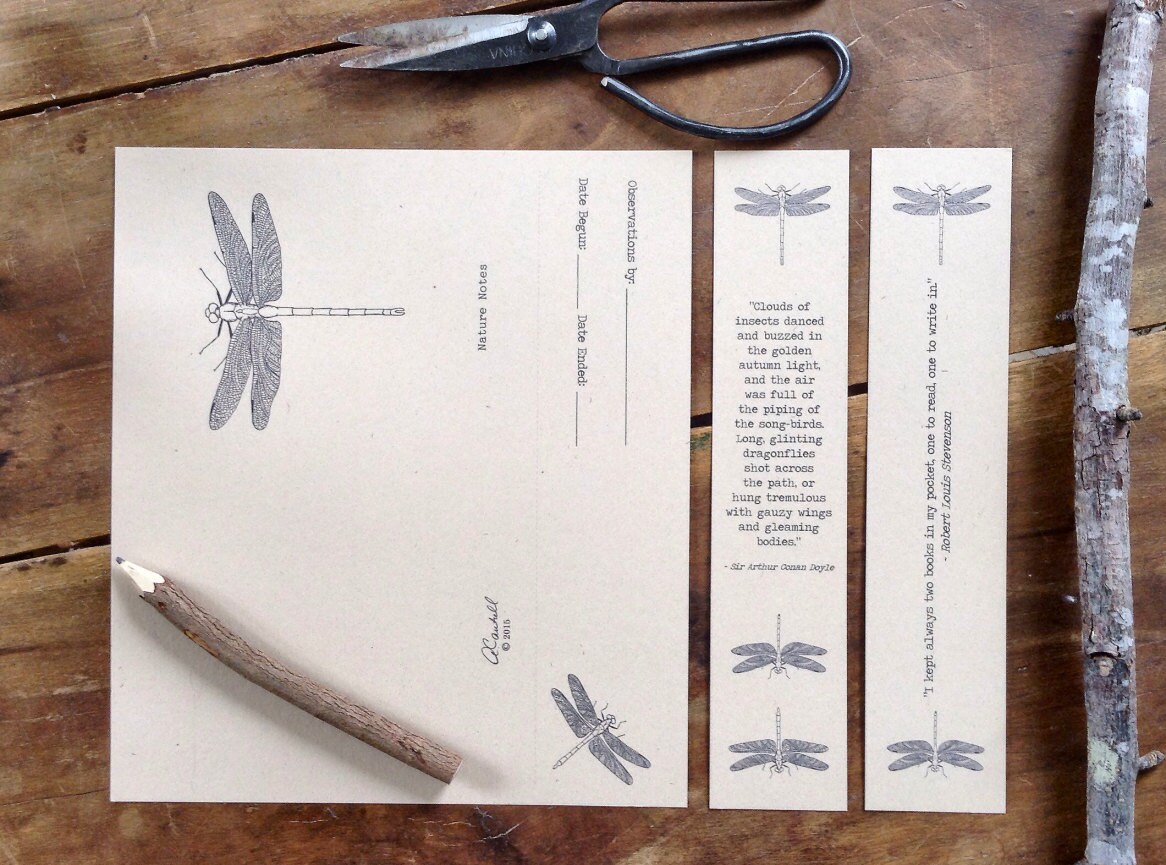 3 Pocket Nature Notebook Covers 6 Bookmarks Digital - Etsy