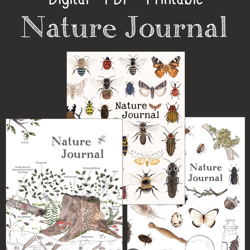 Nature Journal for Kids Charlotte Mason Nature Study Prompts - Etsy