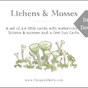 Lichens & Mosses Digital Bundle - Digital Print + Learning Cards ...