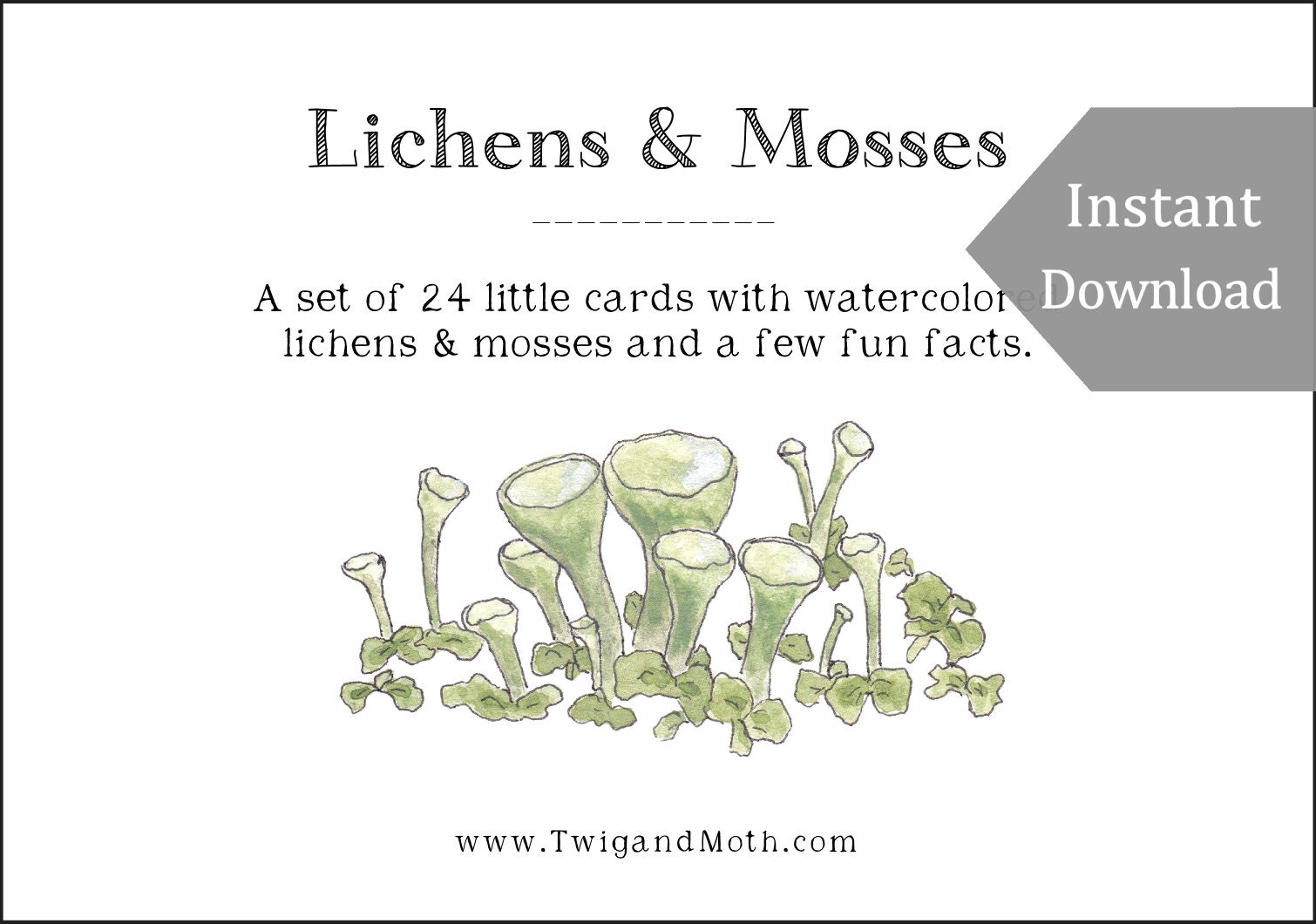 Lichens & Mosses Digital Bundle - Digital Print + Learning Cards ...