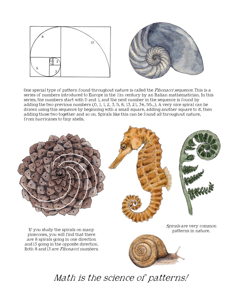 Patterns in Math & Nature School Room Printable - 8.5 X 11 and A4 ...