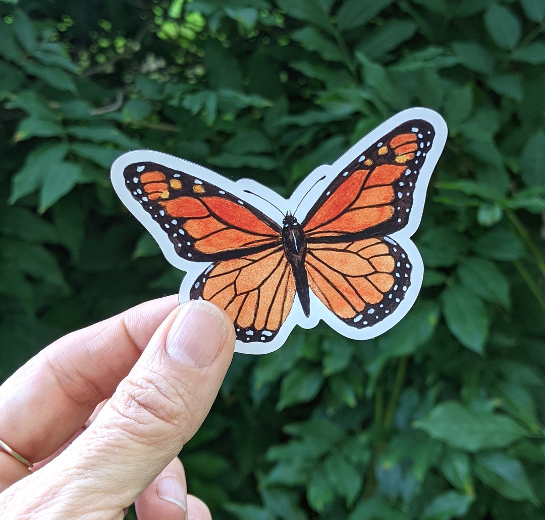 Monarch Butterfly MAGNET Danaus Plexippus - Etsy